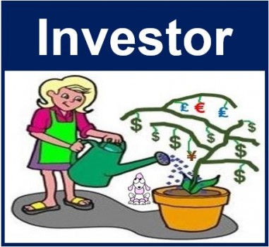 What is an investor? - Market Business News