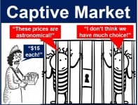 What is a Captive Market? Definition and Examples - Market Business News