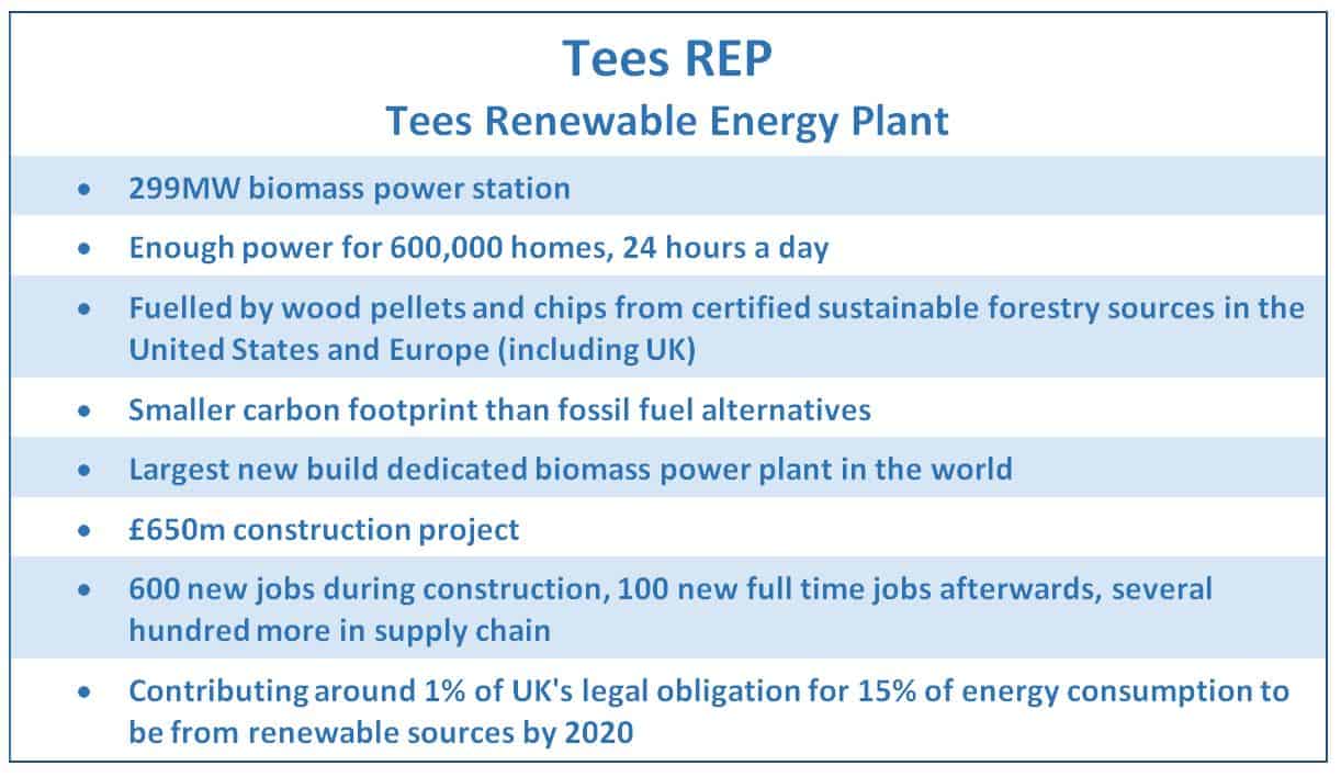 One of the world's largest biomass power plants to be built in North ...