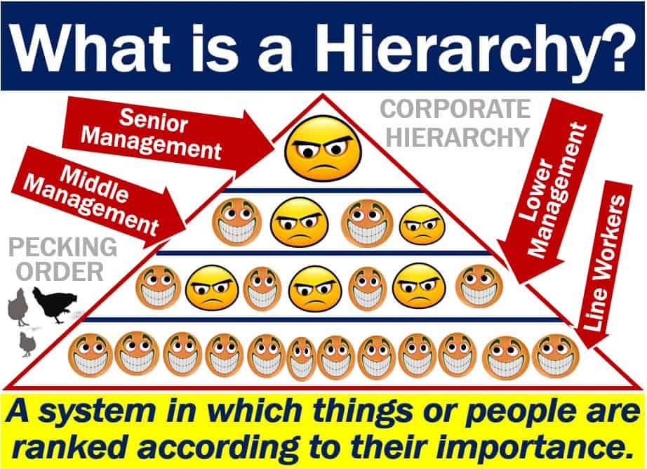 Hierarchy Definition And Meaning Market Business News