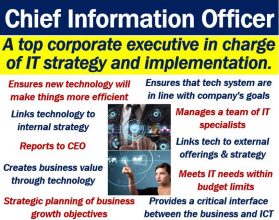 What is a Chief Information Officer (CIO)? - Definition and examples