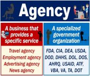 What is an agency? Definition and examples - Market Business News