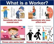 What is a worker? Definition and revelant examples